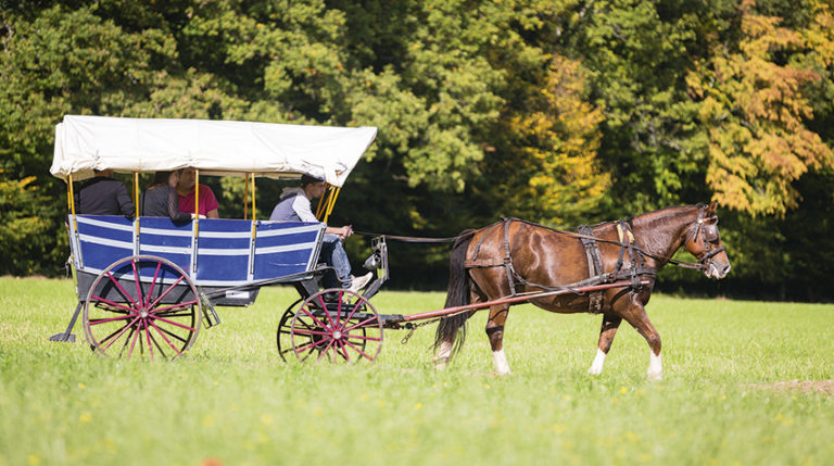 Commune de Courtedoux - Editions Bien Vivre