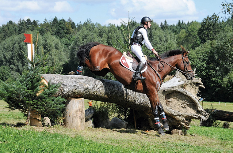 EQUISSIMA - Editions Bien Vivre