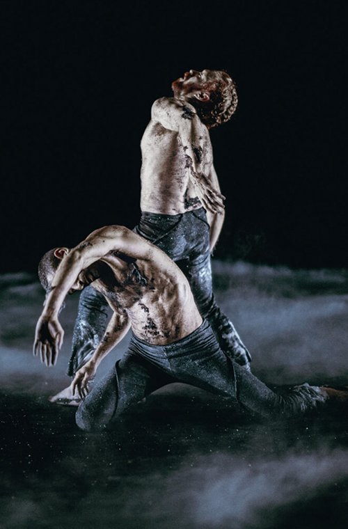 PLANET (WANDERER) - Editions Bien Vivre